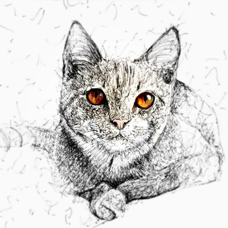 Ruth Slater - Artists Info - Global Artist Guide