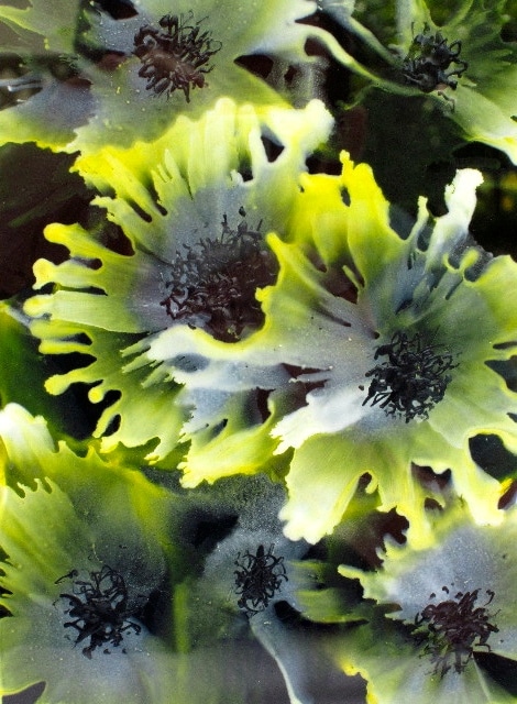 Phil Madley - Artists Info - Global Artist Guide