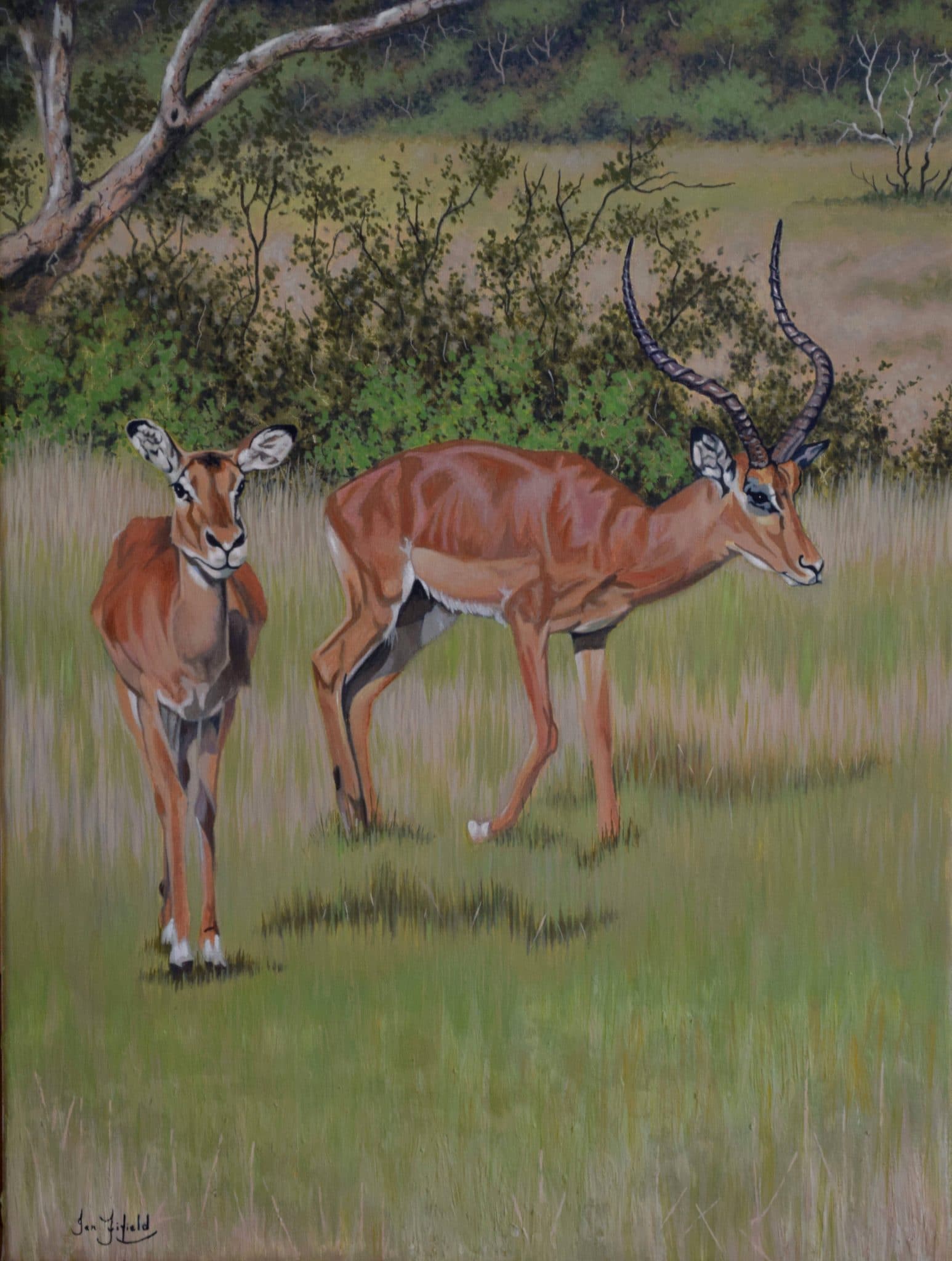 Ian Fifield - Artists Info - Global Artist Guide