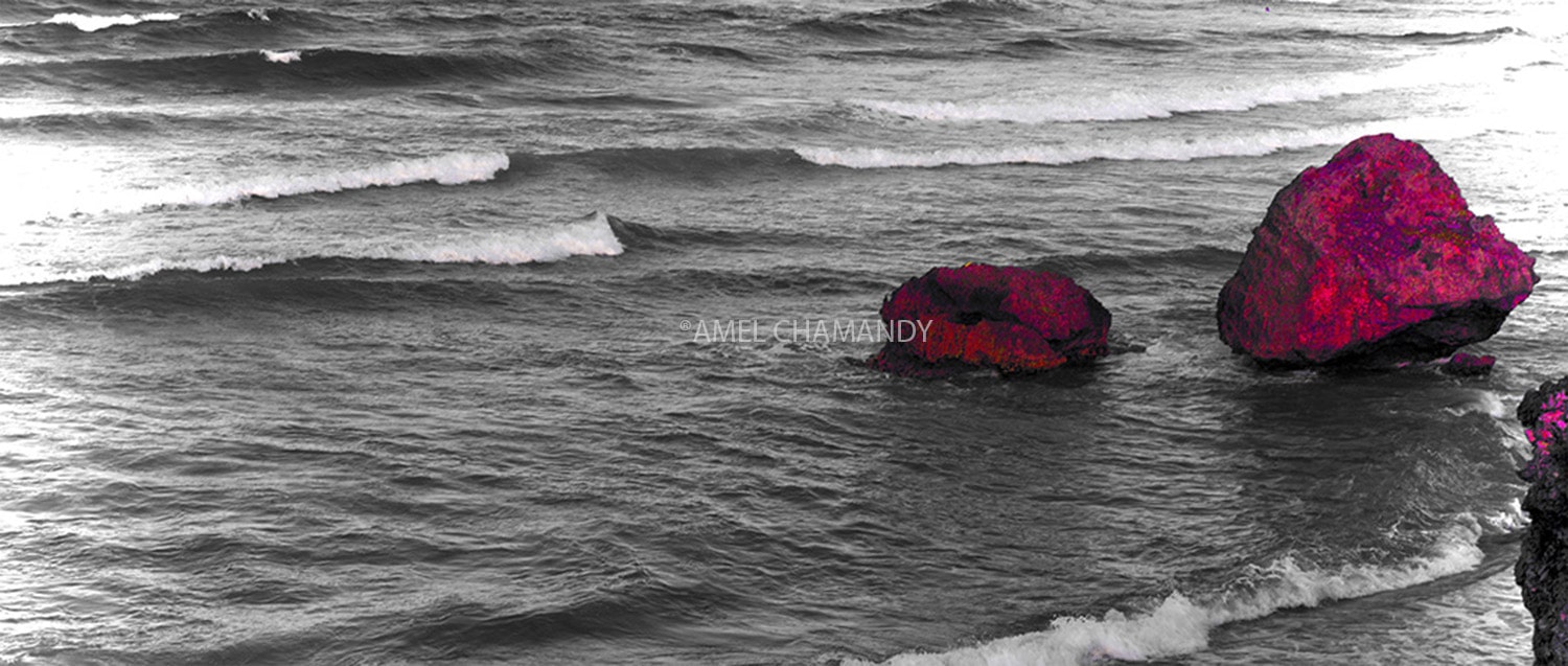 Amel Chamandy™ - Artists Info - Global Artist Guide