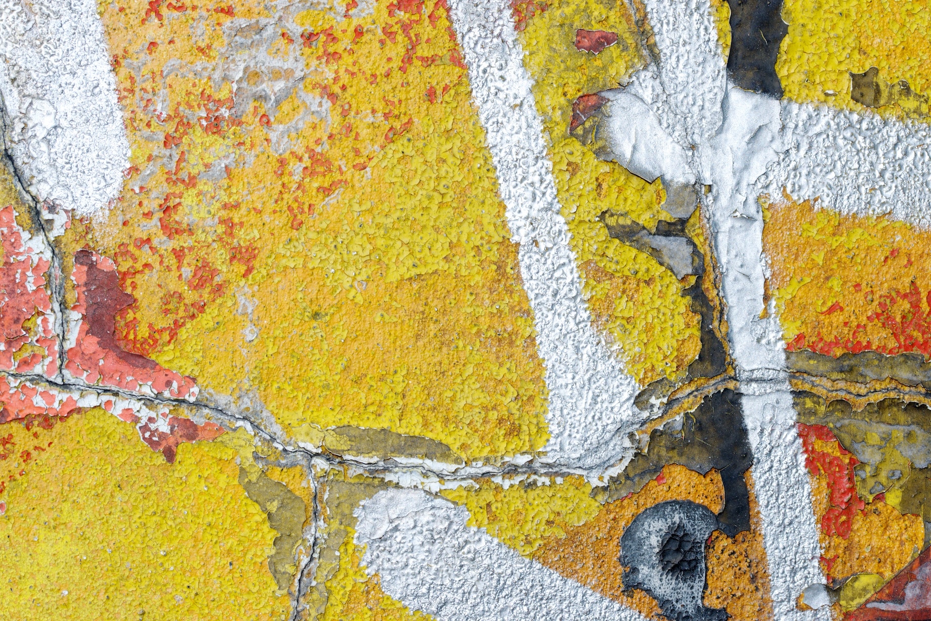 John Diamond, M.D. - Artists Info - Global Artist Guide